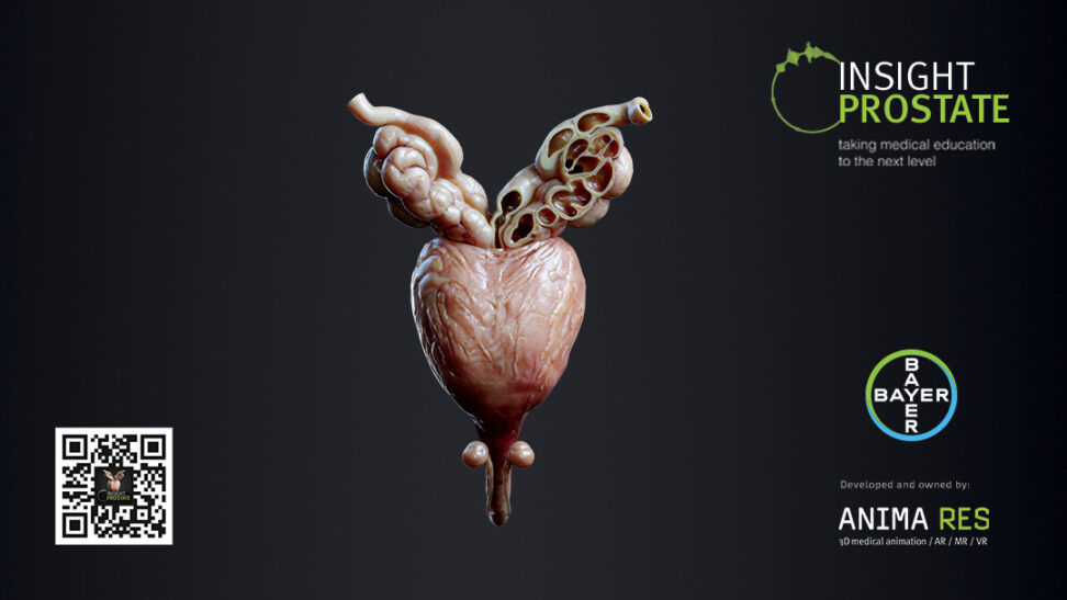 Bayer und Anima Res launchen Aufklärungsapp | Health Relations